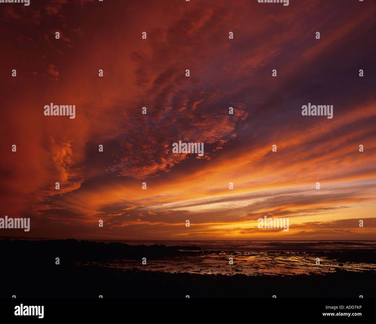 Dramatic sunset Stratocumulus clouds along coastal shoreline near ...