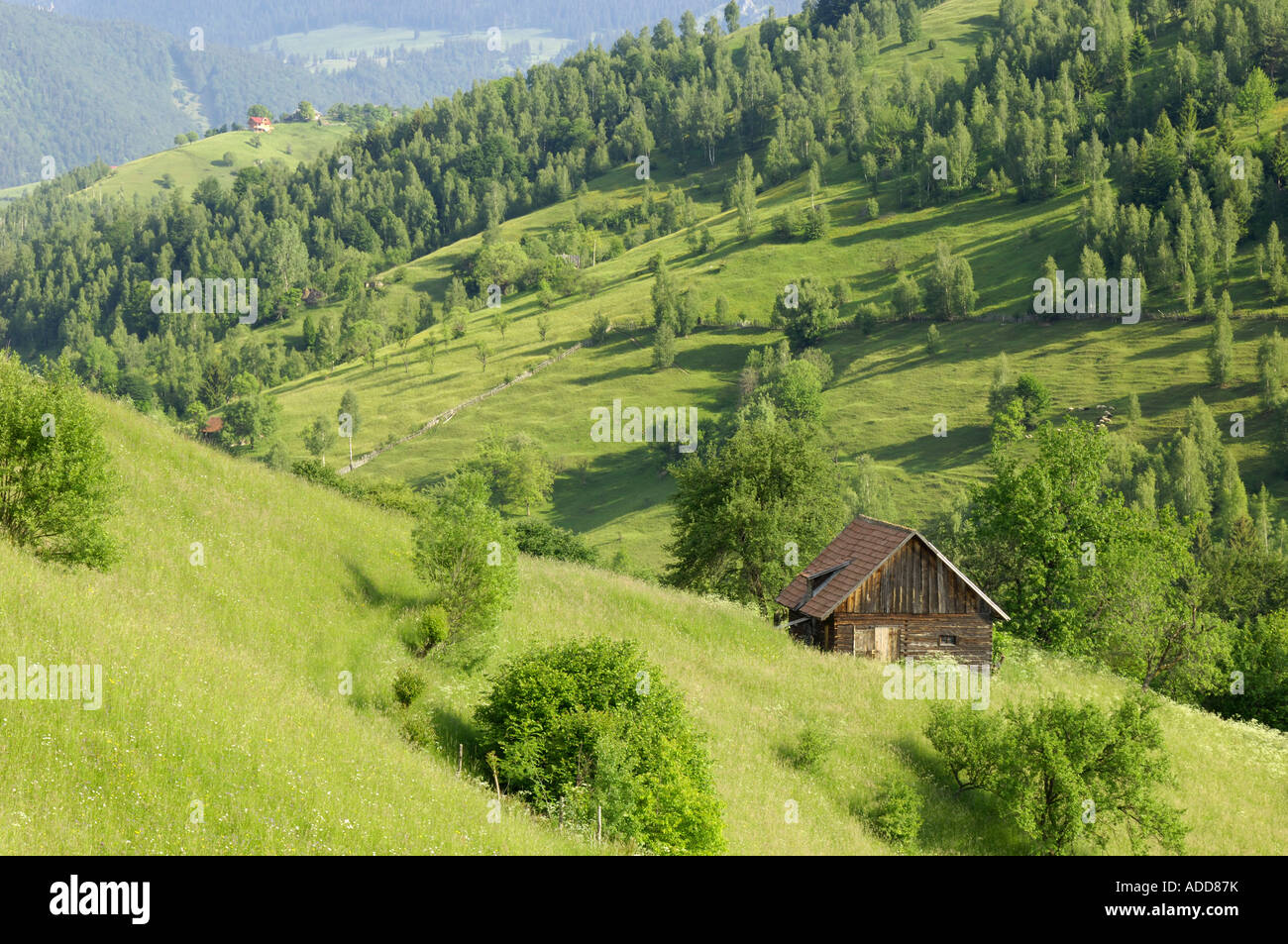 Transylvanian Alps, near Bran, Transylvania, Romania Stock Photo - Alamy