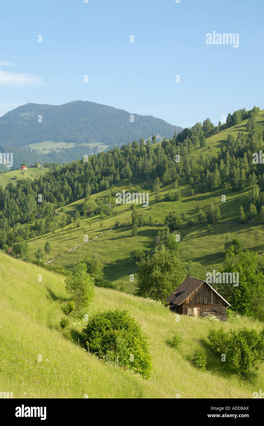 Transylvanian Alps, near Bran, Transylvania, Romania Stock Photo - Alamy