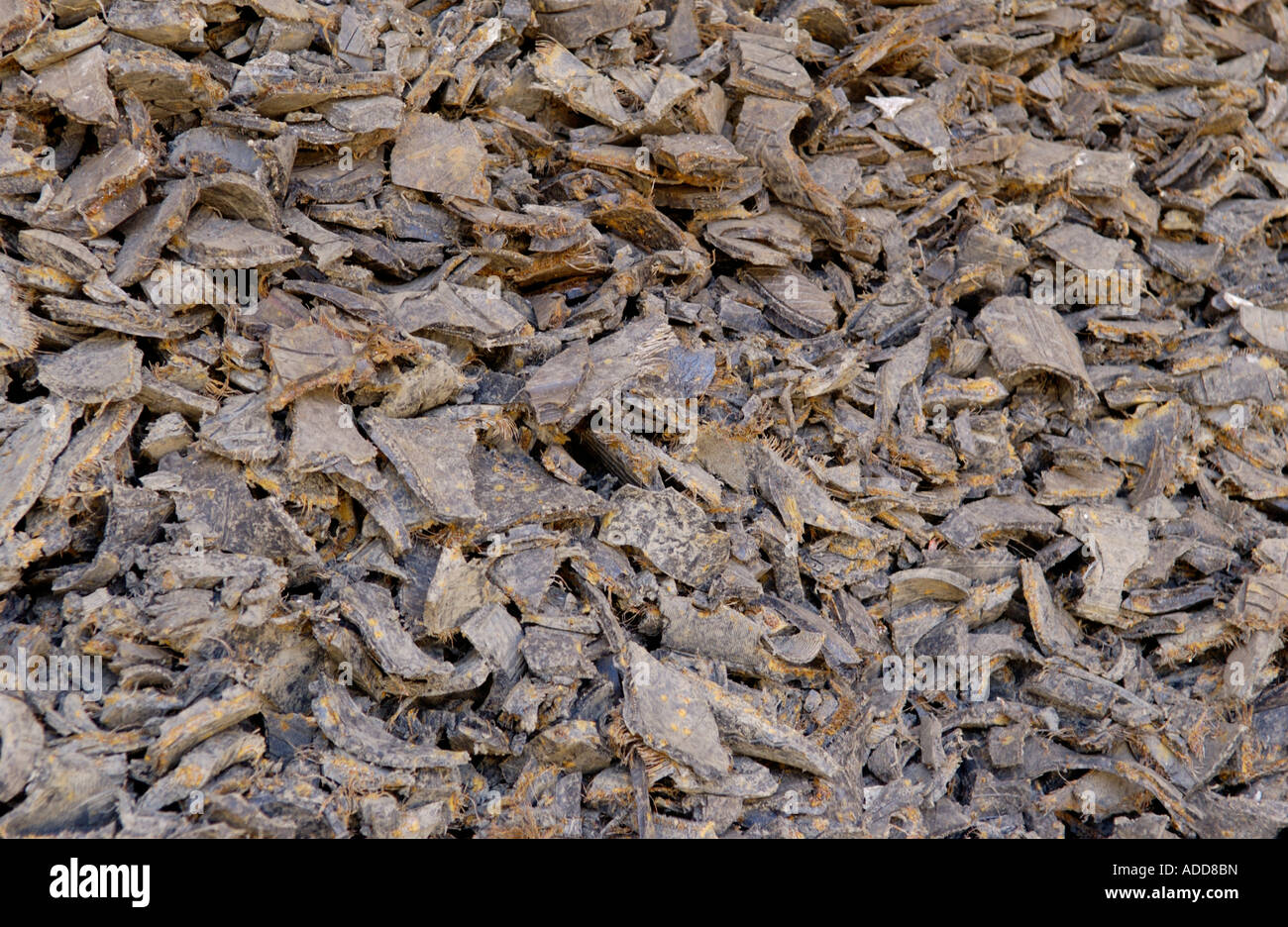 Shredded tyres at TyreGenics cryogenic tyre recycling plant Baglan ...