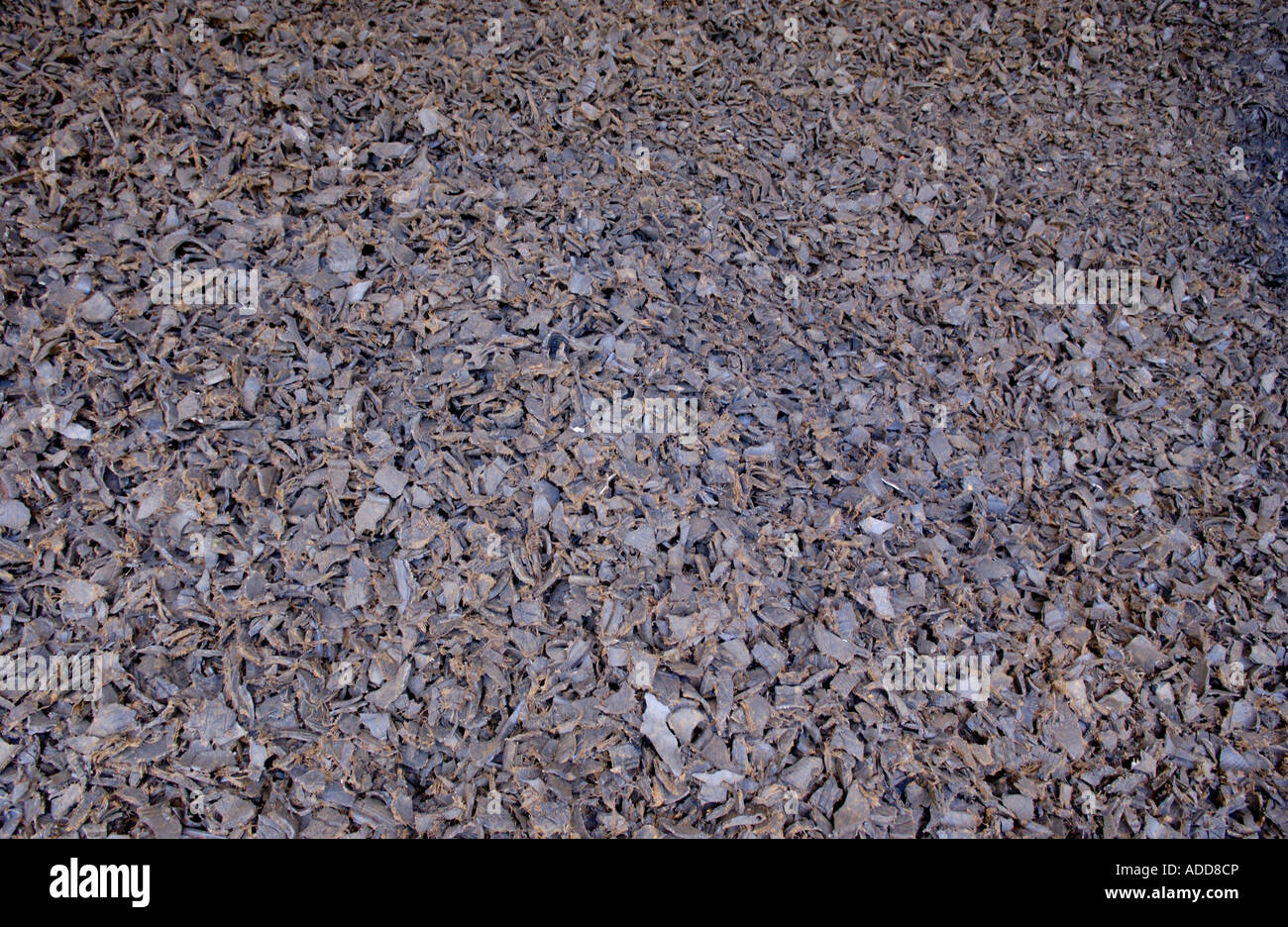 Shredded tyres at TyreGenics cryogenic tyre recycling plant Baglan ...