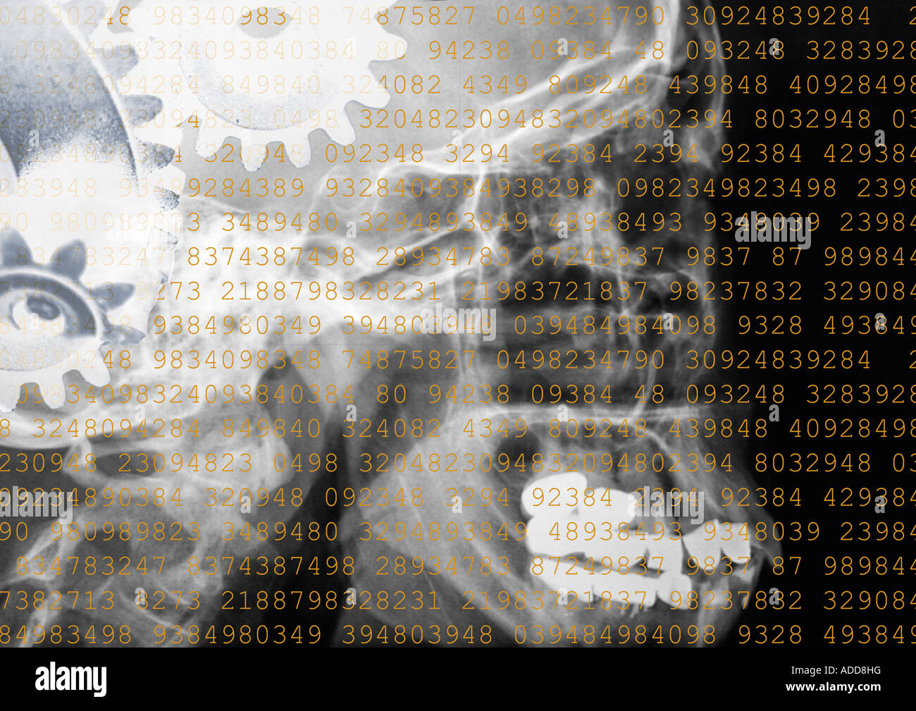 mechanics in the brain Stock Photo - Alamy