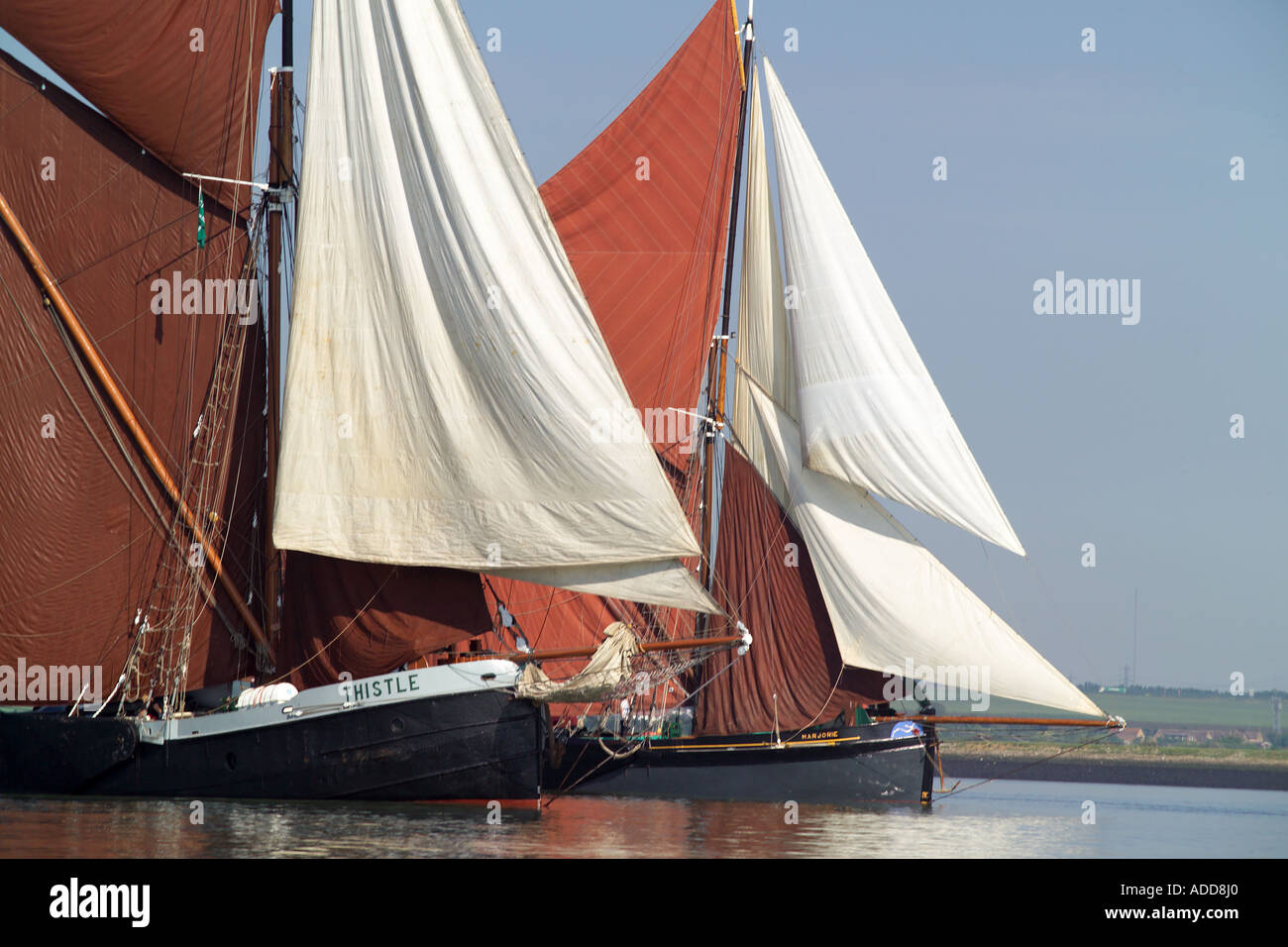 Thames sailing Barge the Thistle and the Marjorie Medway Thames Barge ...