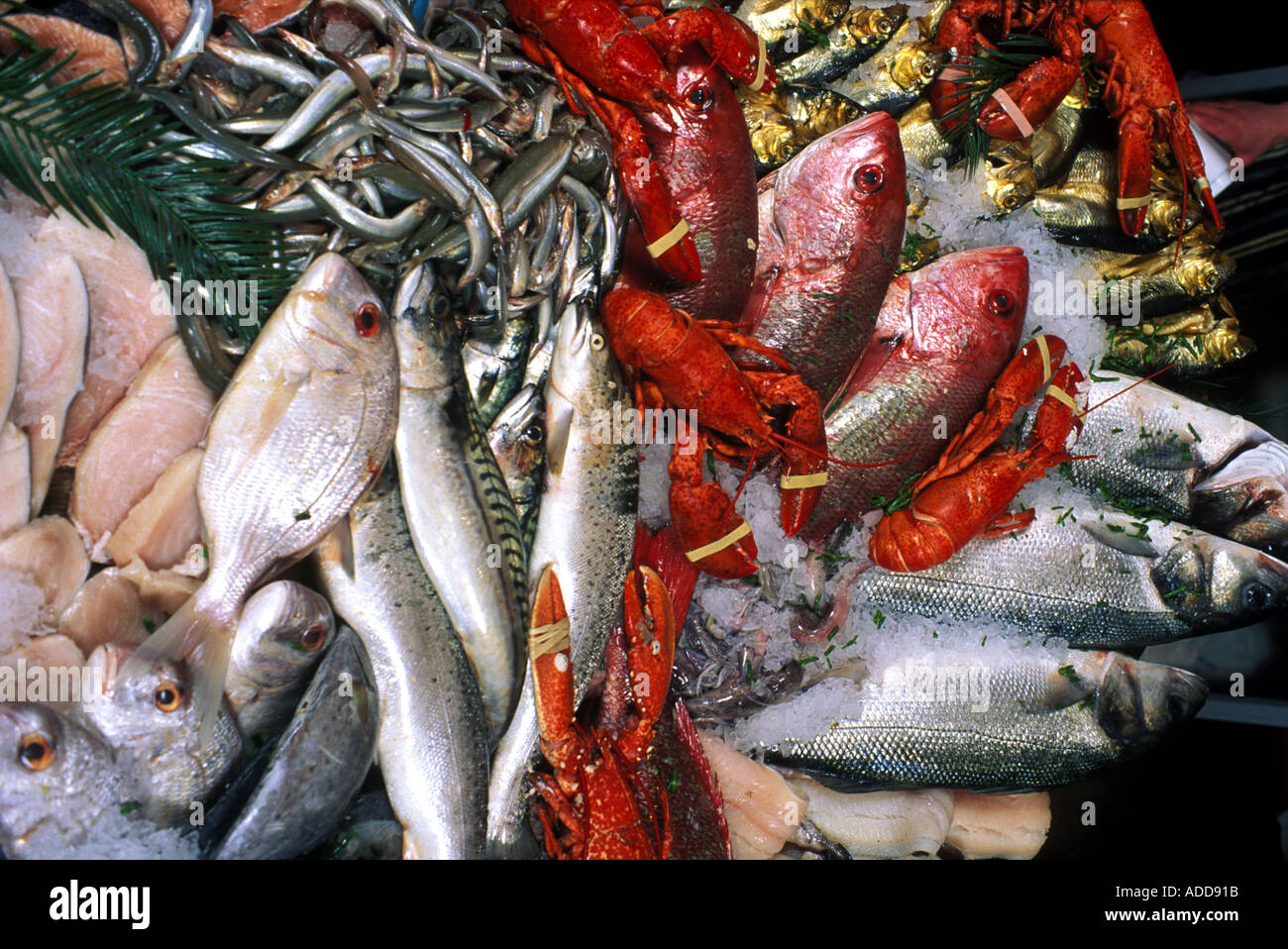 Welsh sea bass hi-res stock photography and images - Alamy