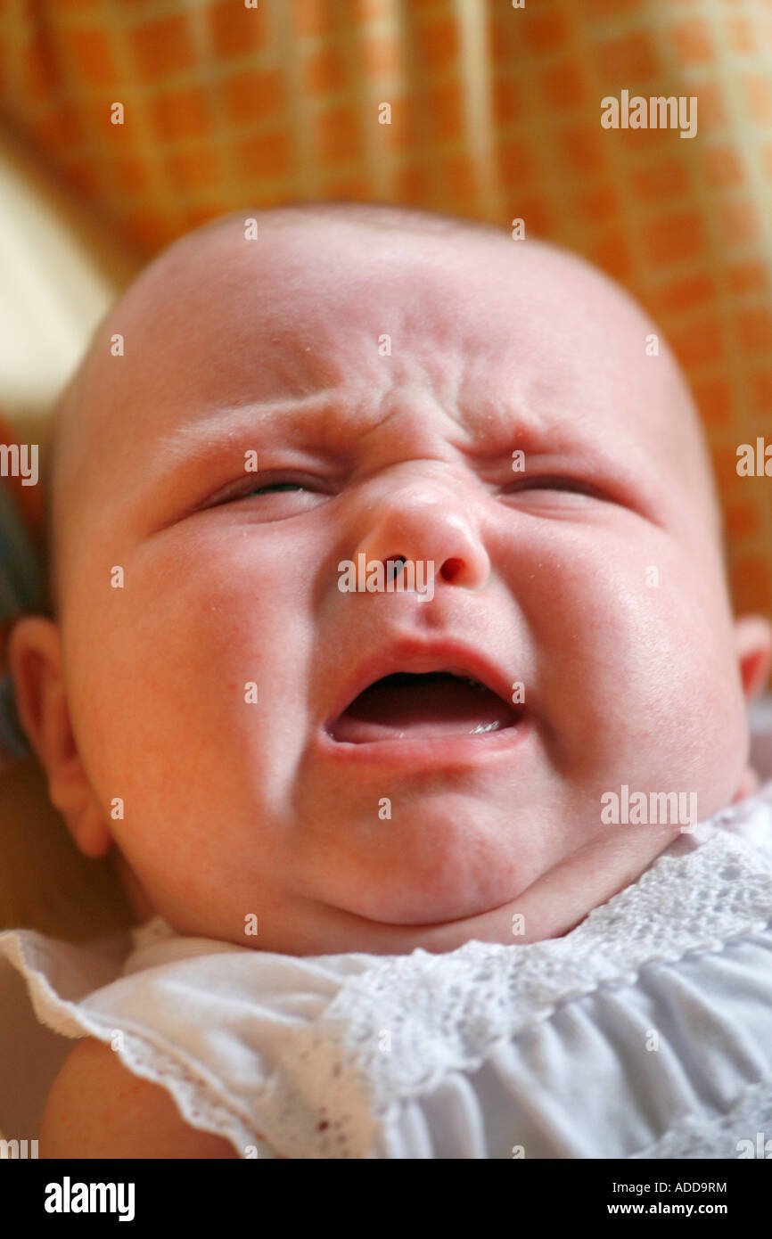 Model Released Ten week old baby girl Stock Photo - Alamy