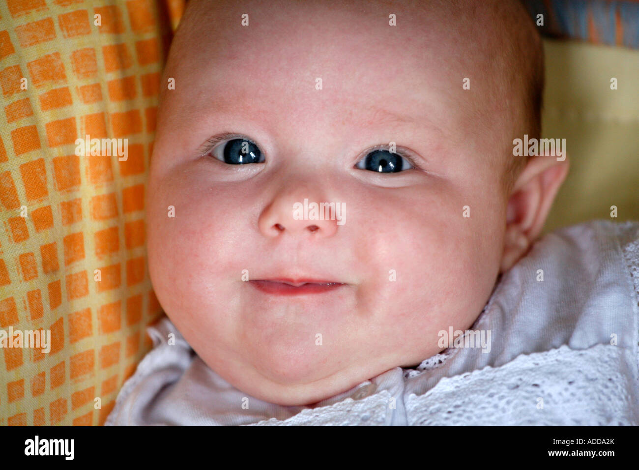 Model Released Ten week old baby girl Stock Photo - Alamy