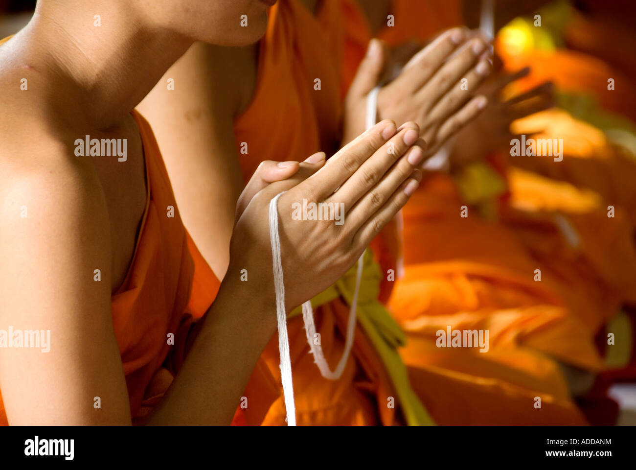 Row of orange robed Buddhist monks praying Stock Photo - Alamy