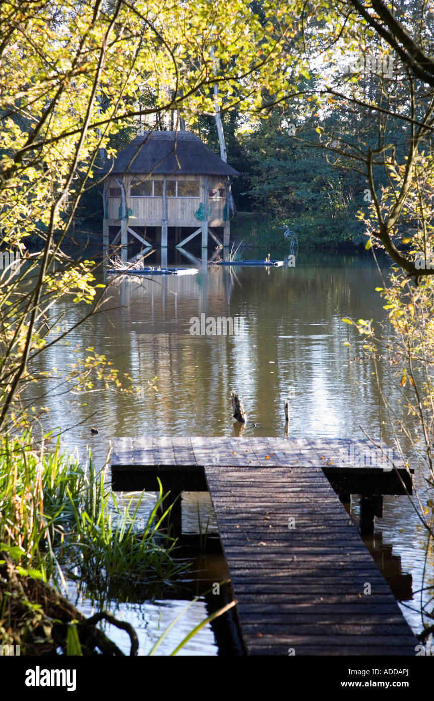 Fradley Nature Reserve Autumn Cannock Chase Stock Photo - Alamy