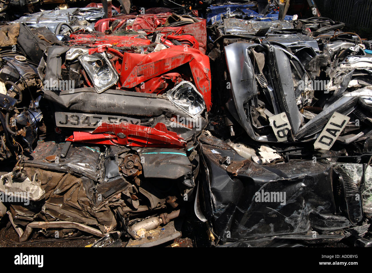 Squashed By A Car High Resolution Stock Photography and Images - Alamy