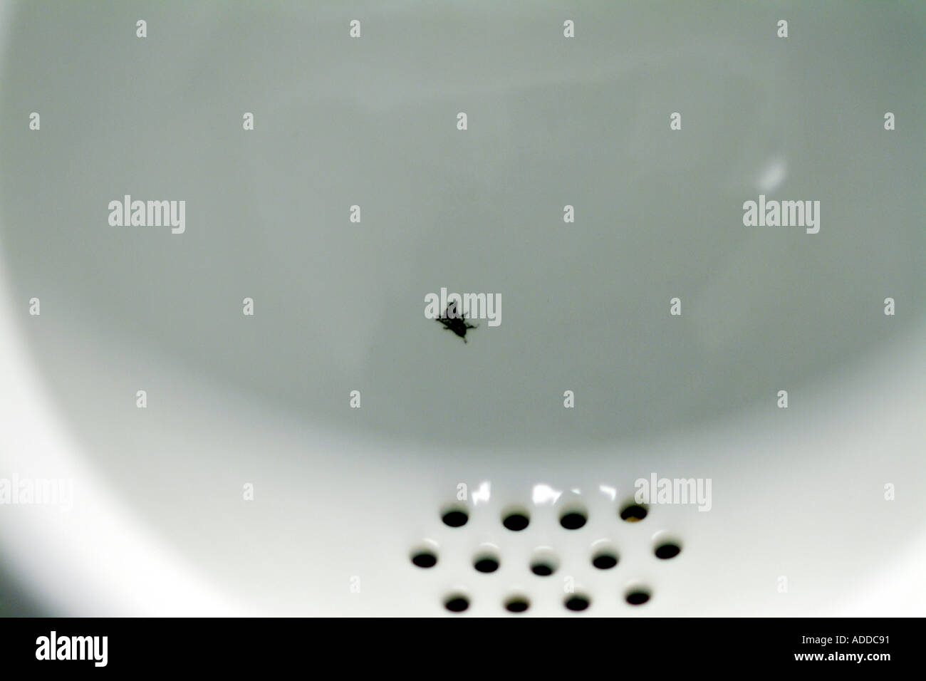 Airport europe quirky hi-res stock photography and images - Alamy