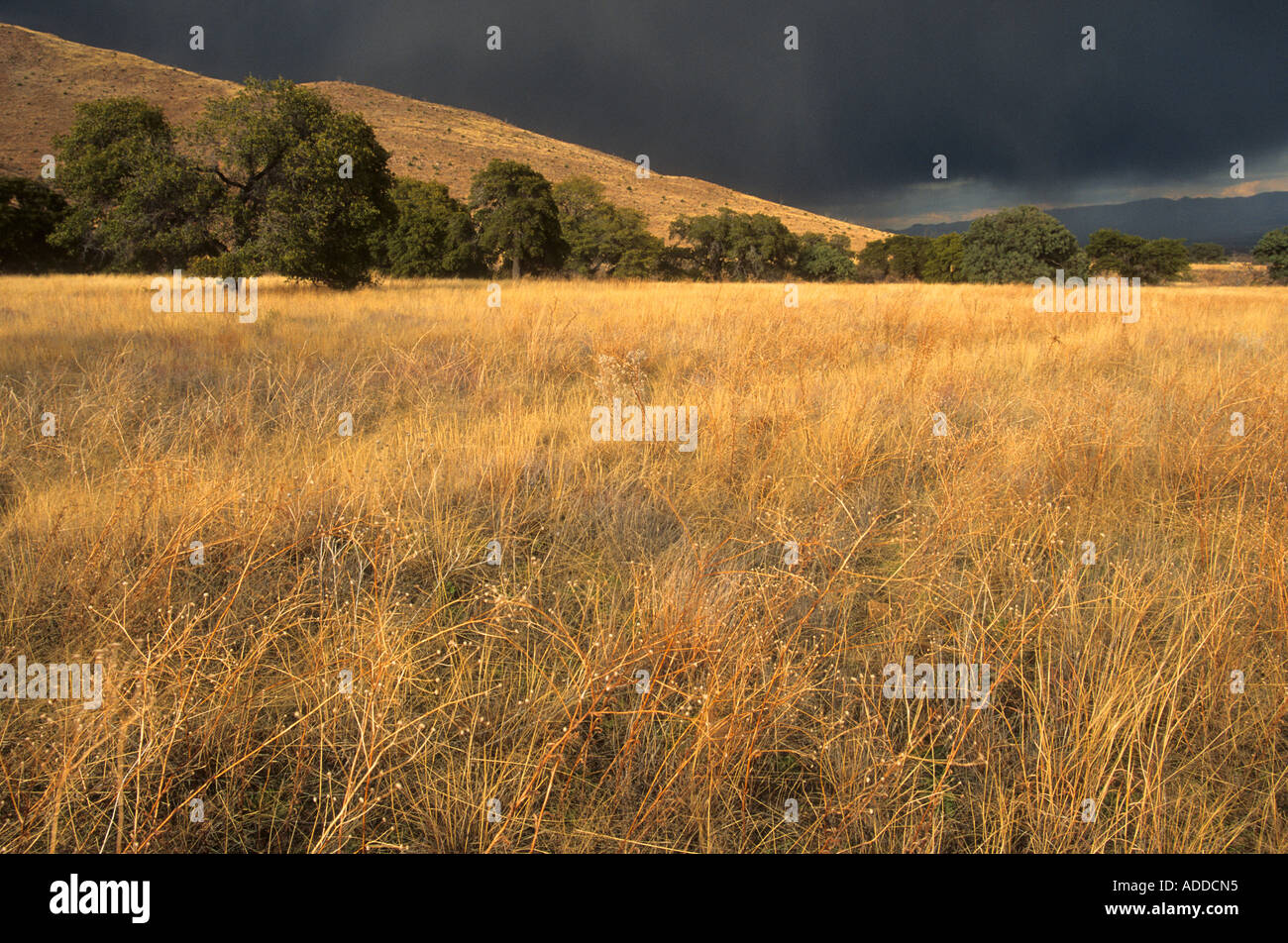 Coranado hi-res stock photography and images - Alamy