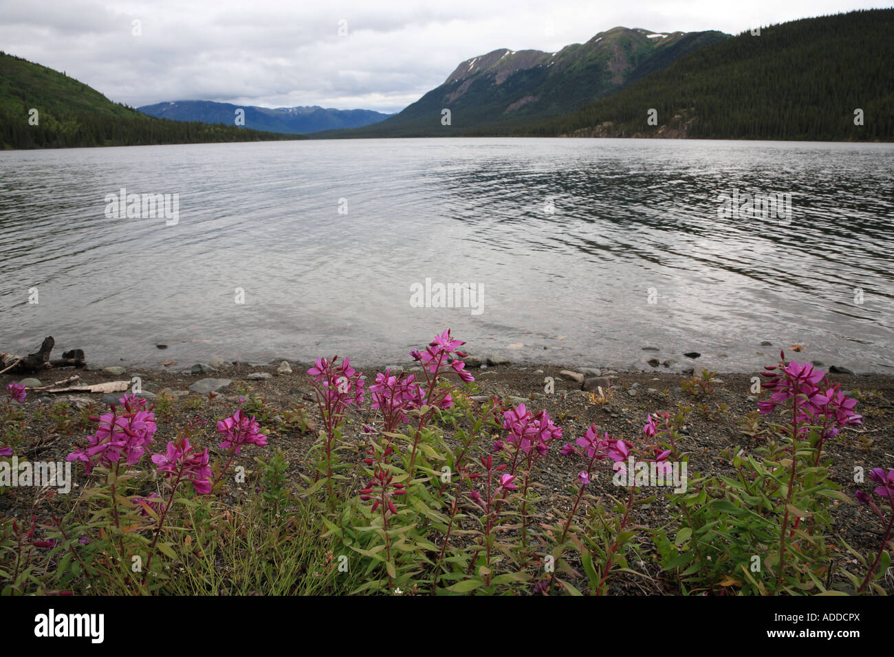 Iskut british columbia hi-res stock photography and images - Alamy