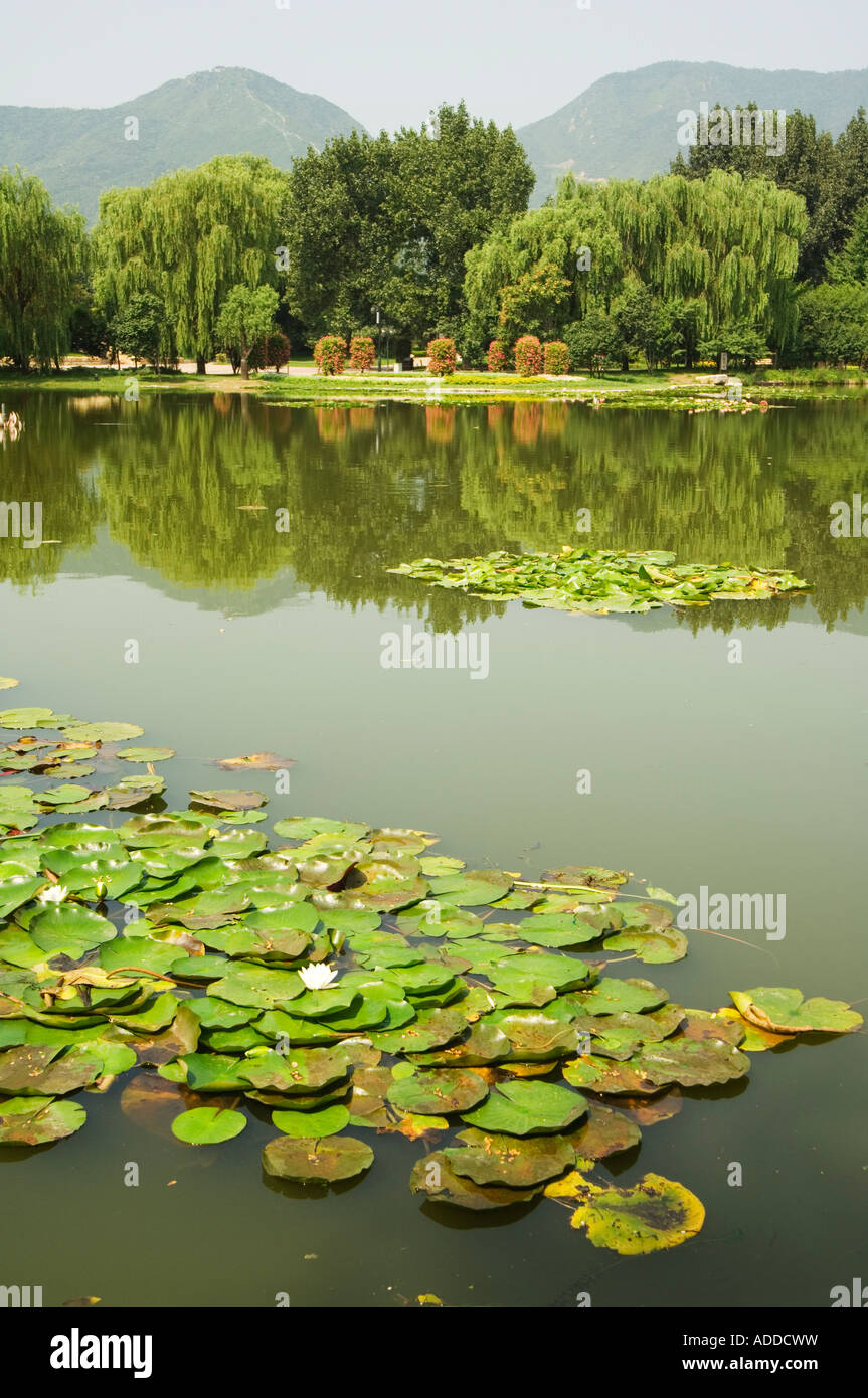 Beijing botanical gardens hi-res stock photography and images - Alamy