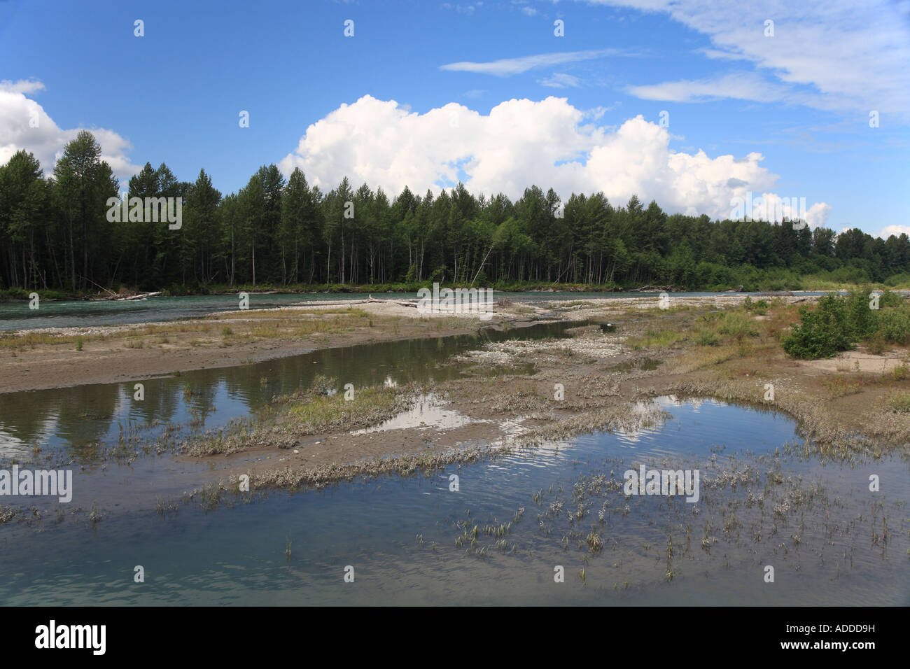 Kitimat river British Columbia Stock Photo - Alamy