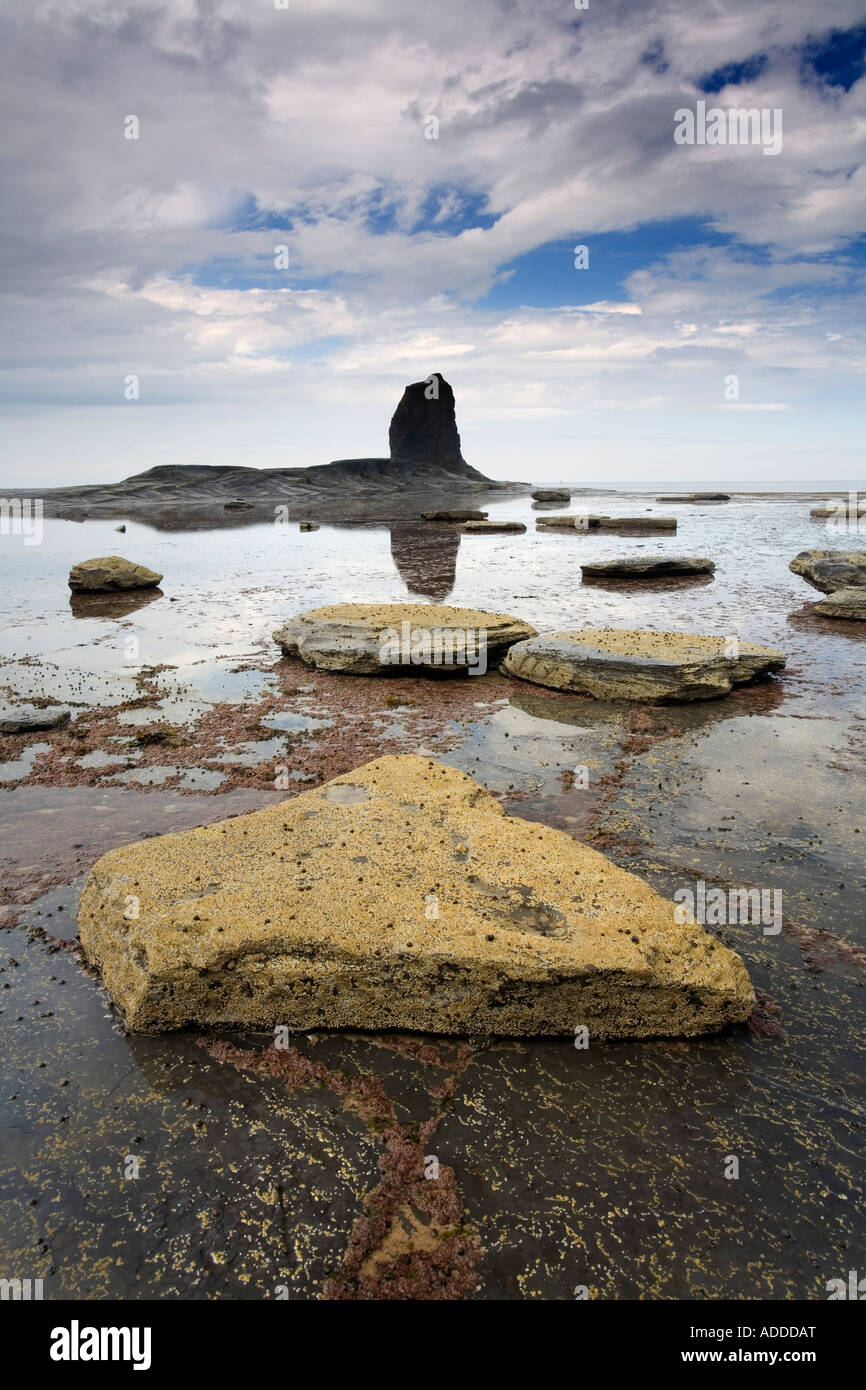 Black Nab, Saltwick Bay, Whitby, Yorkshire Coast Stock Photo - Alamy
