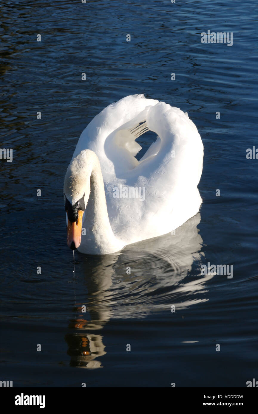 Godstone village hi-res stock photography and images - Alamy