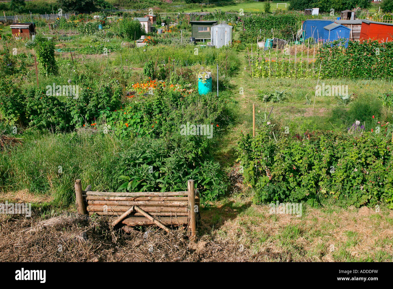 Communal allotment hi-res stock photography and images - Alamy