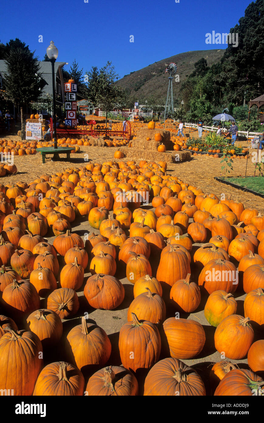California harvest festival hi-res stock photography and images - Alamy