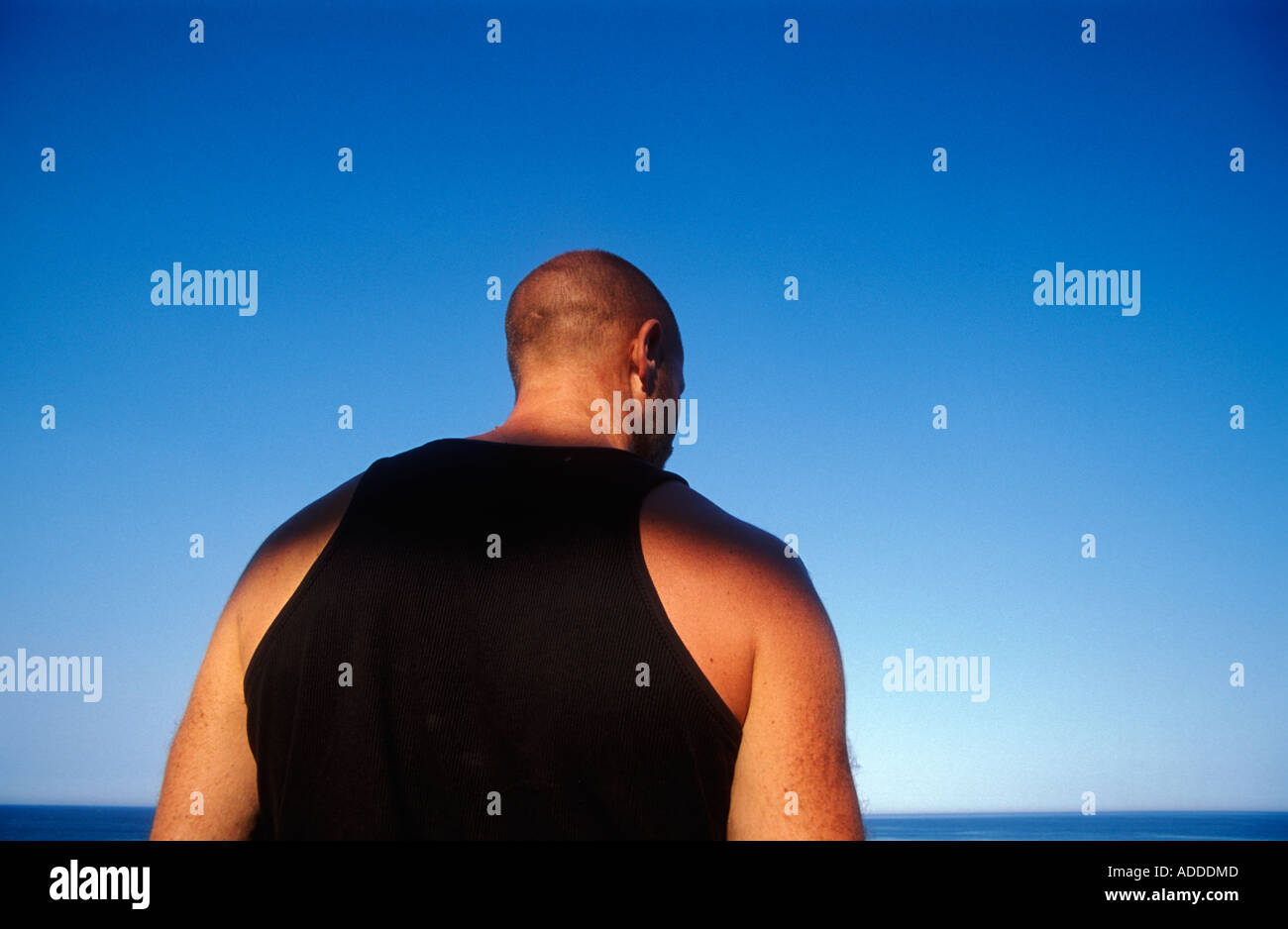 Skinhead muscular hi-res stock photography and images - Alamy