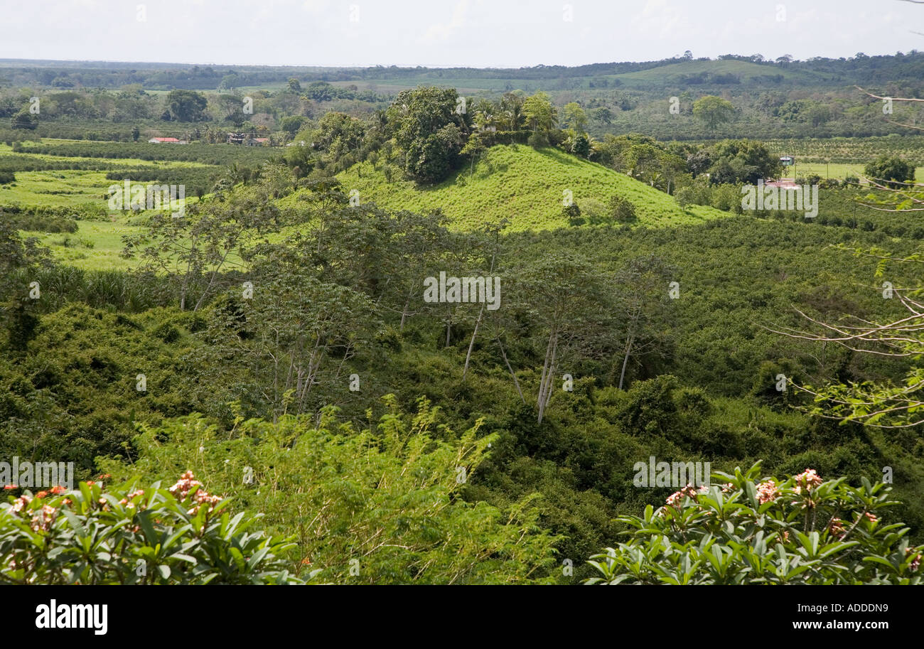 Unexcavated Mayan Mound in Belize Stock Photo - Alamy