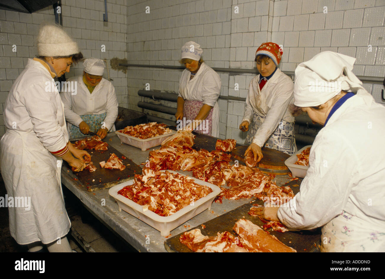 Women buchers cut up meat at the 21st Collective Congress farm on the ...