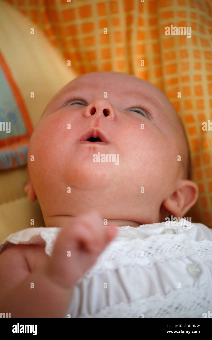 Baby up model released hi-res stock photography and images - Alamy