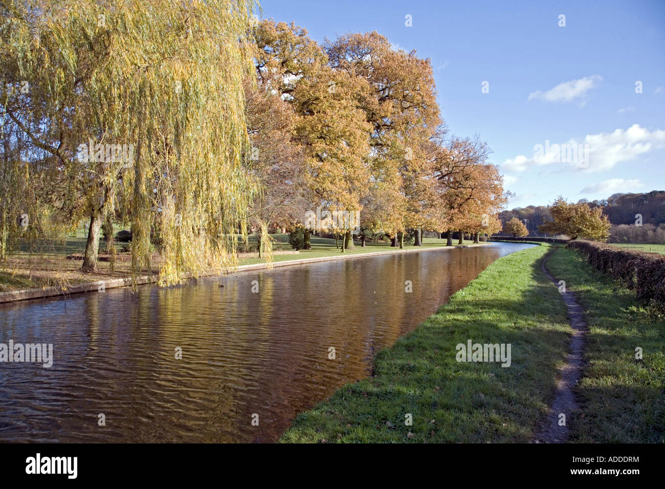 Staffordshire and Worcestershire Lined With Willow and Oak Trees Autumn ...