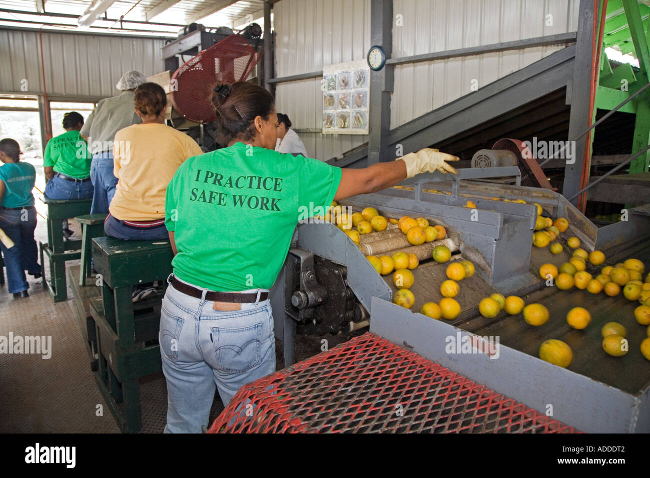 Citrus products of belize hi-res stock photography and images - Alamy
