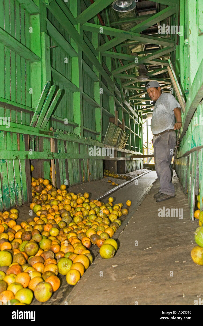 Citrus Processing Factory in Belize Stock Photo - Alamy
