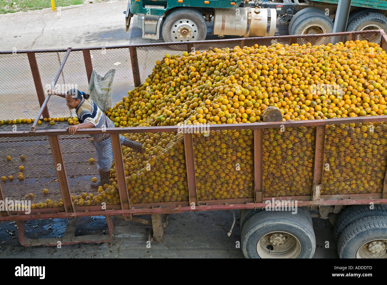 Oranges processing plant hi-res stock photography and images - Alamy