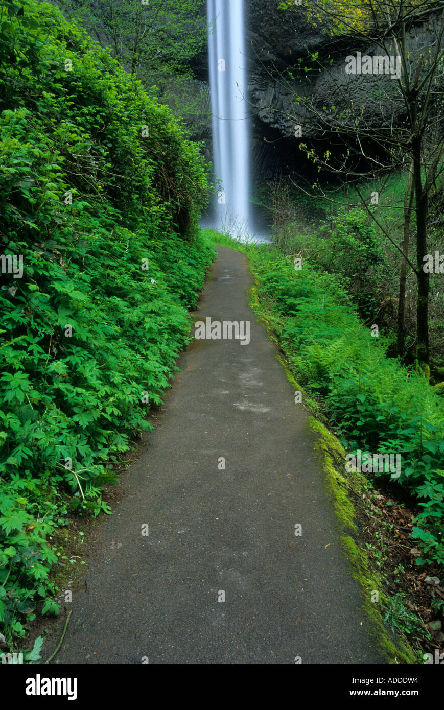 Path to Latourell Falls in Talbot State Park Columbia River Gorge ...