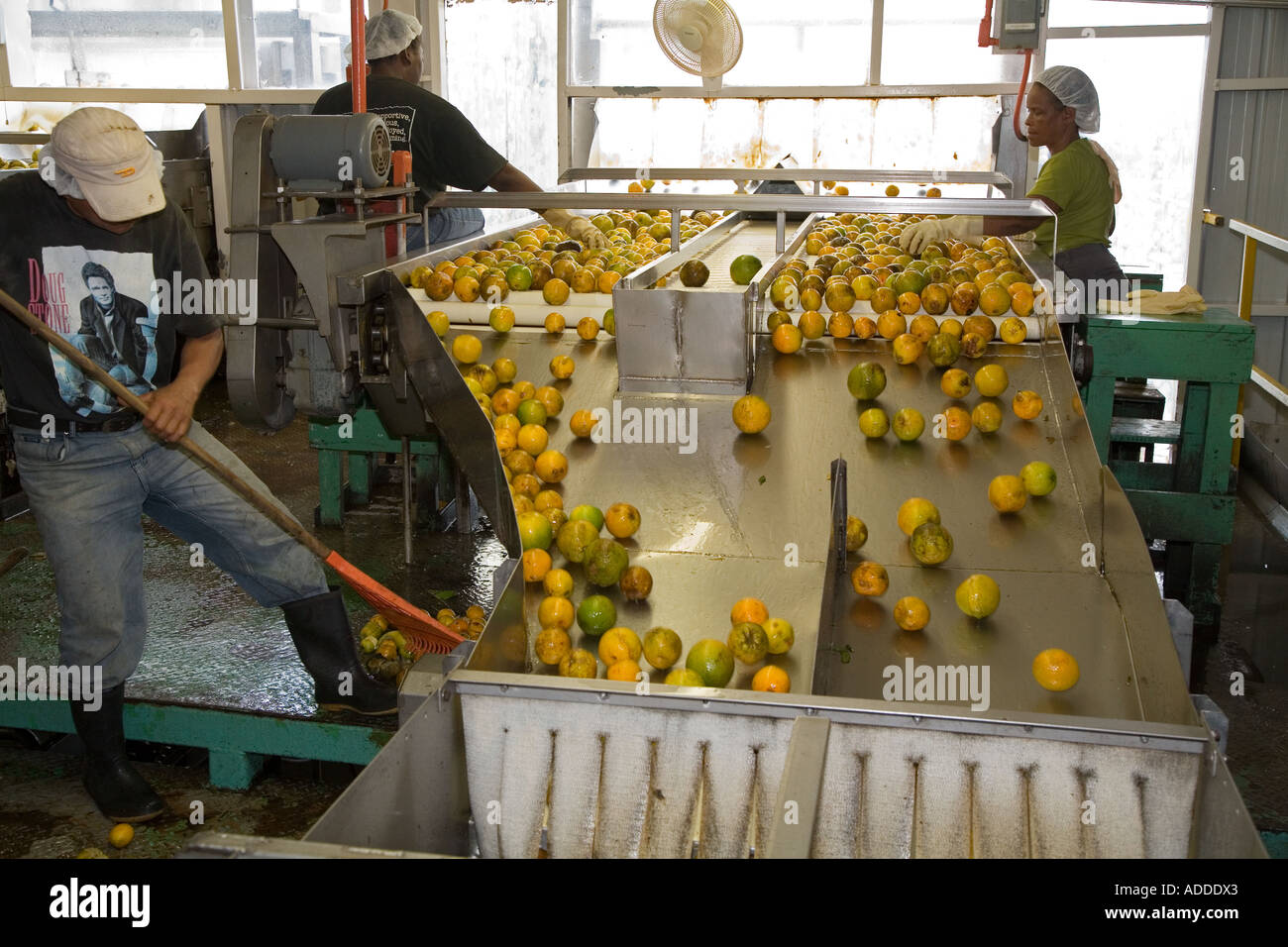 Citrus Processing Factory in Belize Stock Photo - Alamy