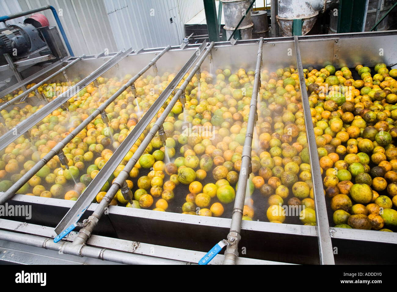 Citrus Processing Factory in Belize Stock Photo - Alamy
