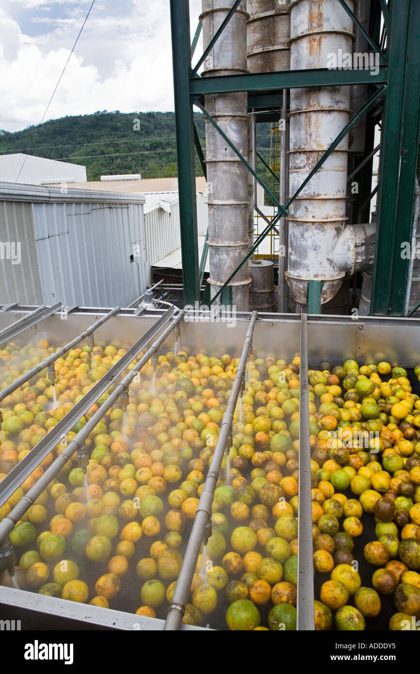 Citrus Processing Factory in Belize Stock Photo - Alamy