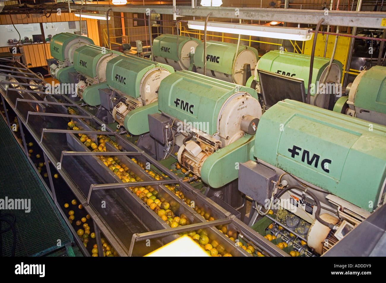 Citrus Processing Factory in Belize Stock Photo - Alamy