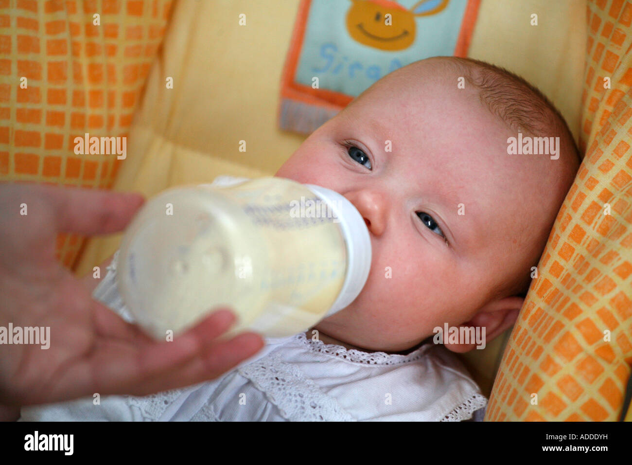 Model Released Ten week old baby girl with bottle Stock Photo - Alamy