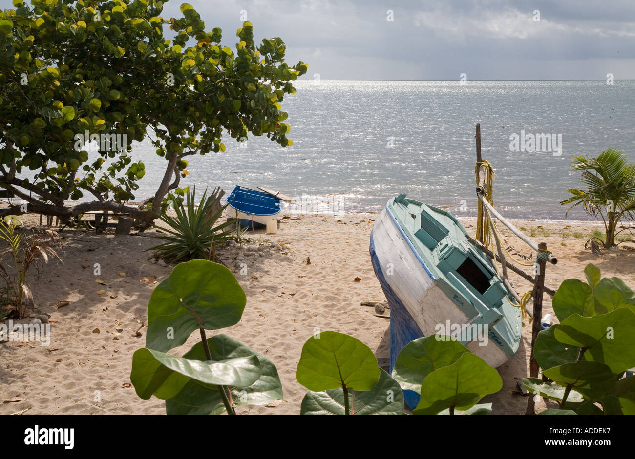Fishing Boat on Beach in Belize Stock Photo - Alamy