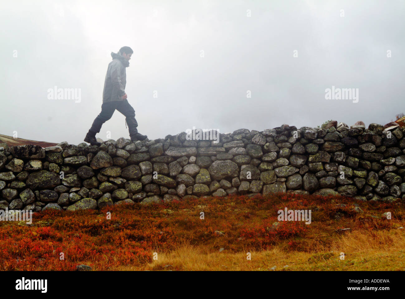 man walking on stone fence Stock Photo - Alamy