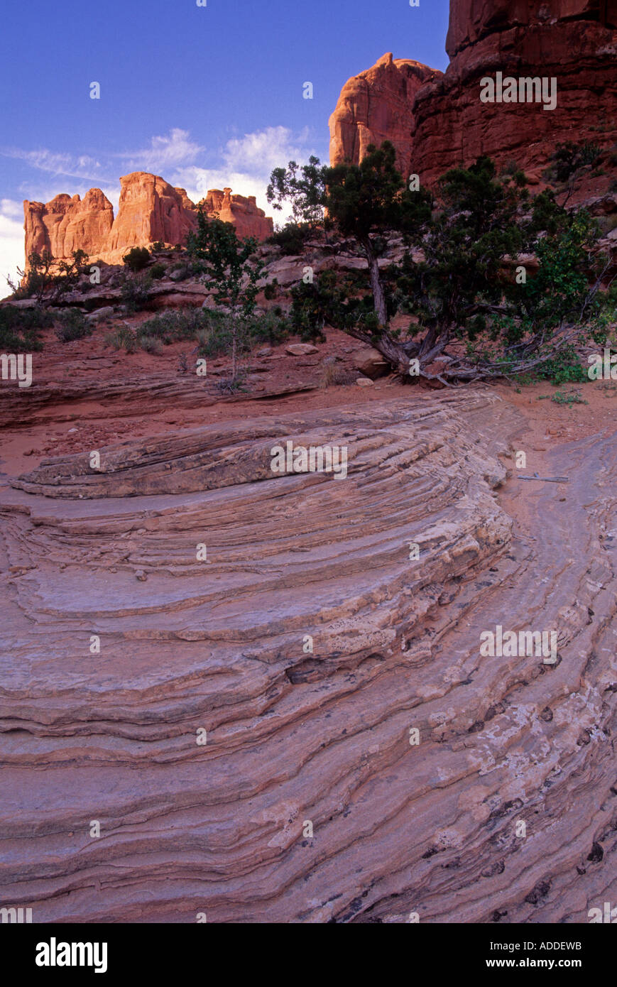 The colorful sandstone formations at Park Avenue in Arches National ...