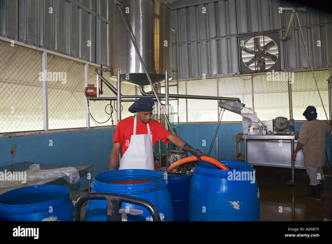 Marie sharp hi-res stock photography and images - Alamy