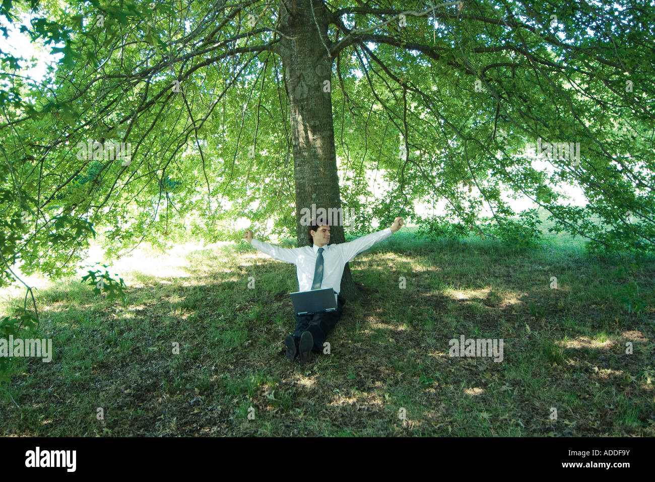 Man Sitting Under Shade Tree High Resolution Stock Photography and ...
