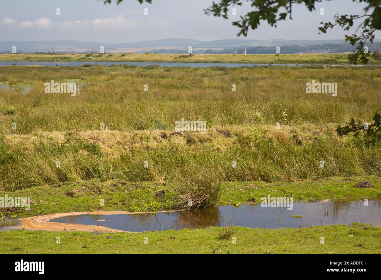 Pennington marshes hi-res stock photography and images - Alamy