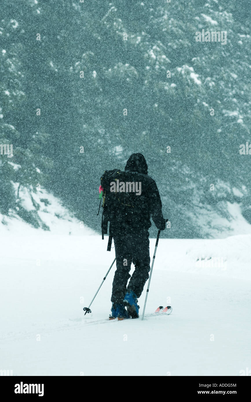 Cross-country skier, rear view Stock Photo - Alamy