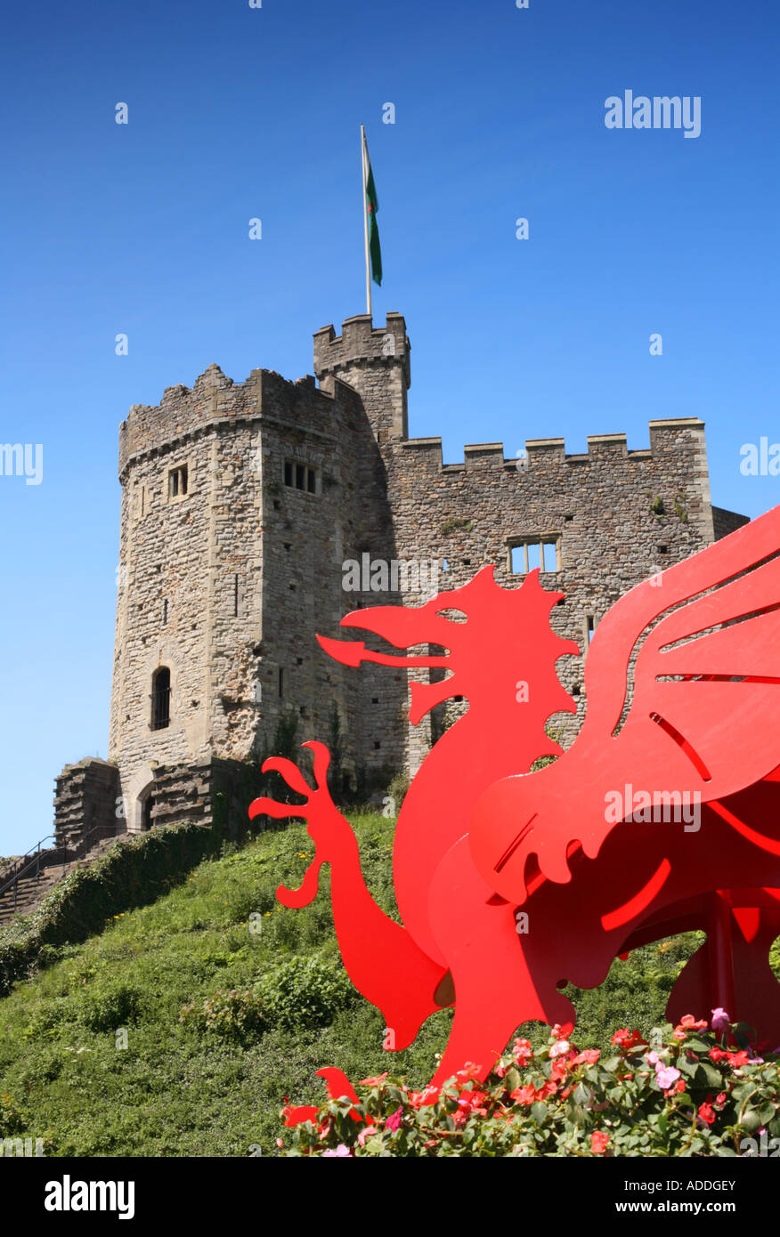 Cardiff castle and castle mound with welsh flag flying red dragon wales ...