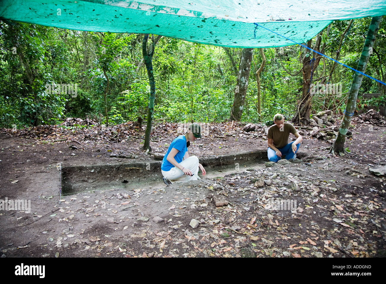 Student Volunteers on Archaeological Dig in Belize Stock Photo - Alamy