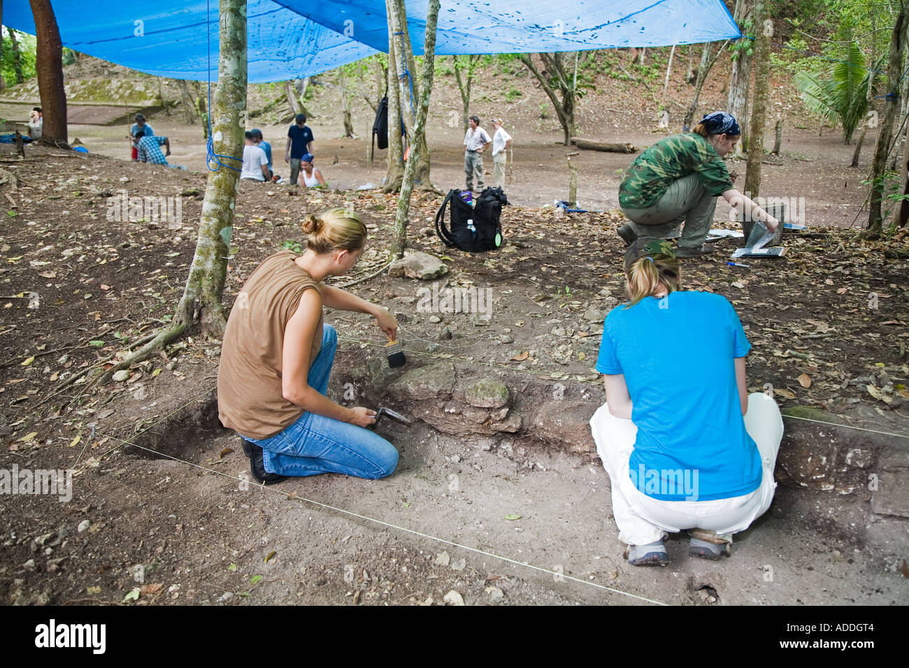 Student Volunteers on Archaeological Dig in Belize Stock Photo - Alamy