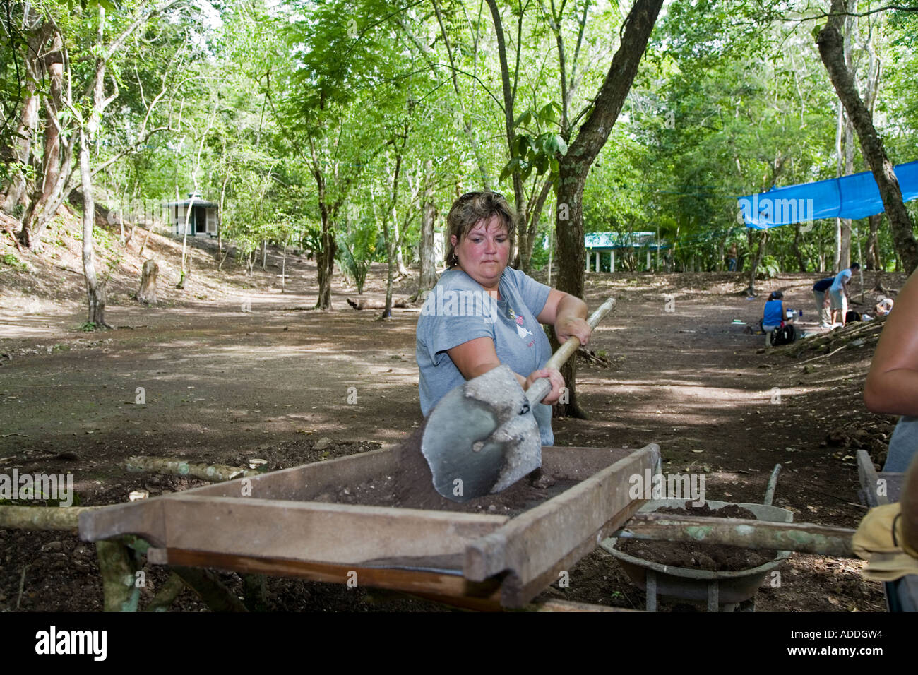Student Volunteers on Archaeological Dig in Belize Stock Photo - Alamy