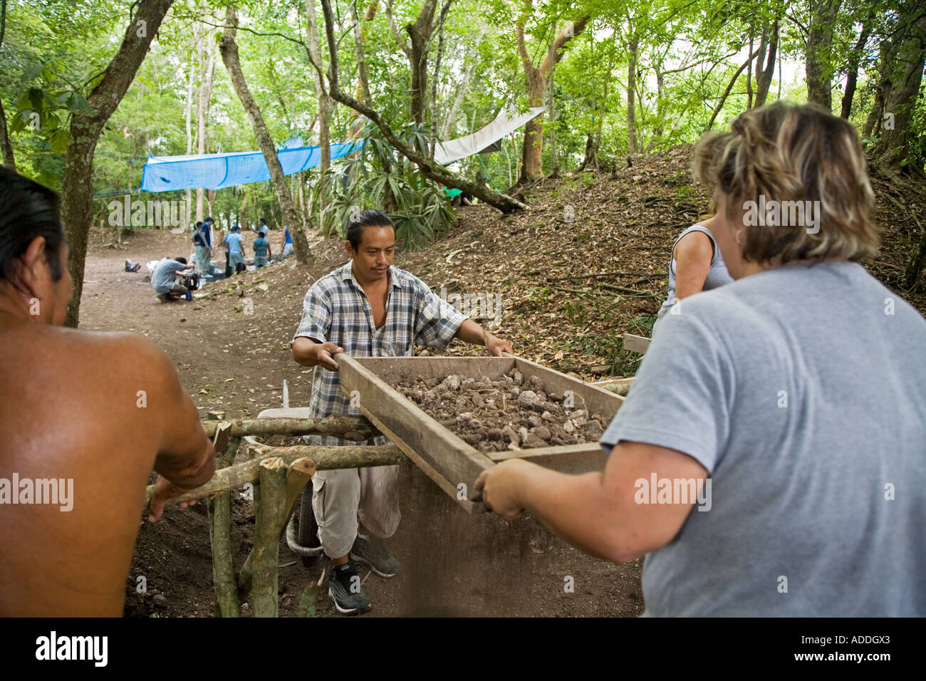 Student Volunteers on Archaeological Dig in Belize Stock Photo - Alamy