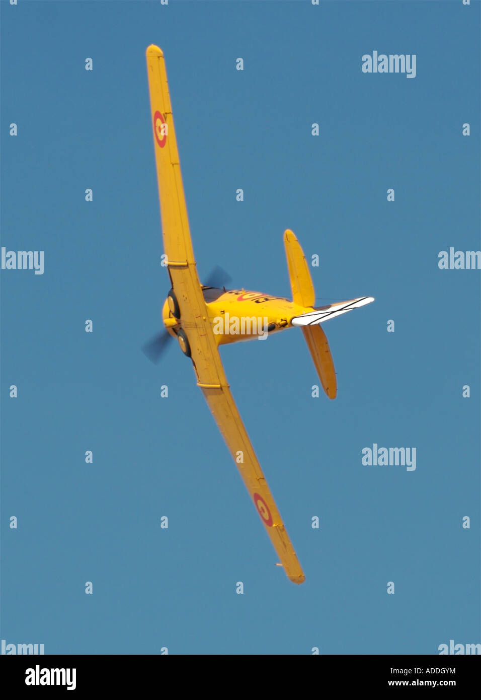 North American T 6 Texan USA 1938 during a FIO flight exhibition Stock ...