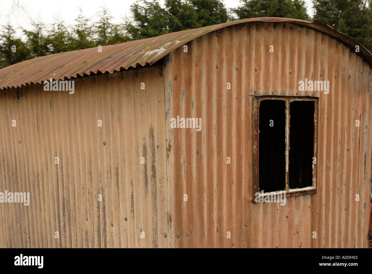 Rusty old tin shed with broken windows Stock Photo - Alamy